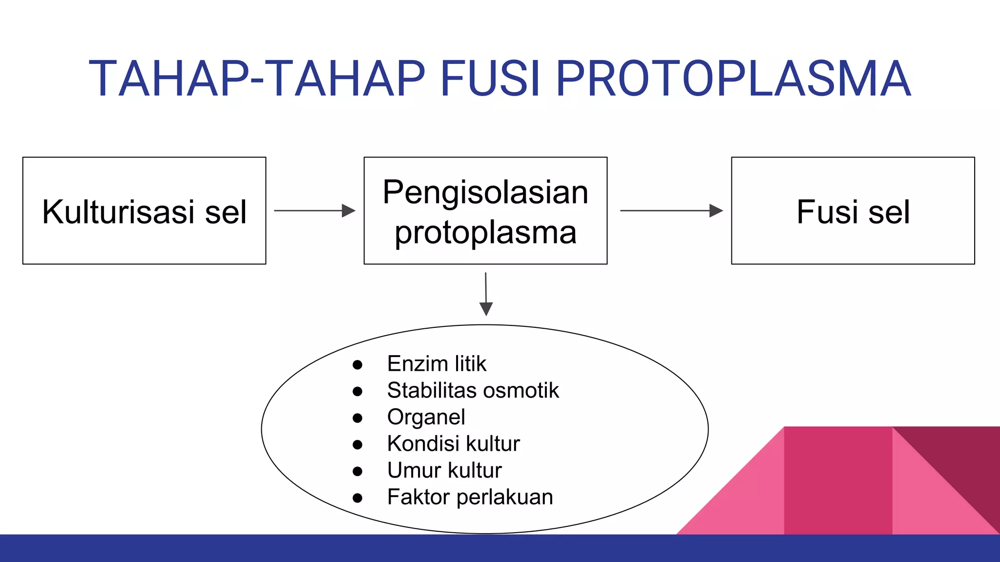 Fusi Protoplasma | PPTX