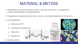 Fusi Protoplasma | PPTX