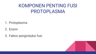 Fusi Protoplasma | PPTX