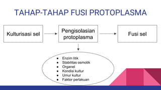 Fusi Protoplasma | PPTX