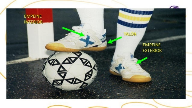 Empeine interior | SpanishDictionary.com Answers