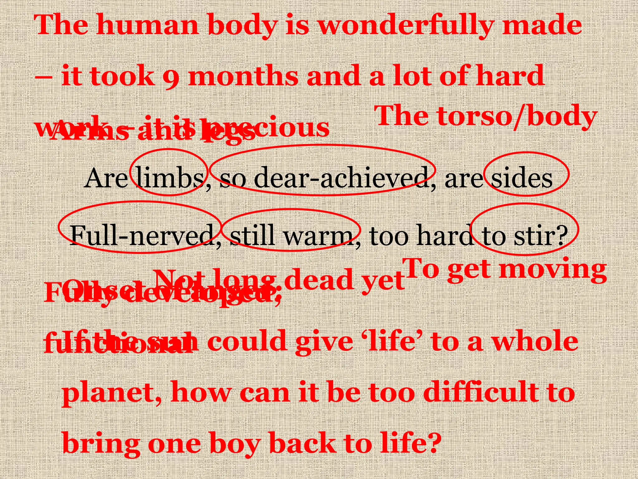 Analysis of the poem: Futility, by Wilfred Owen | PPT