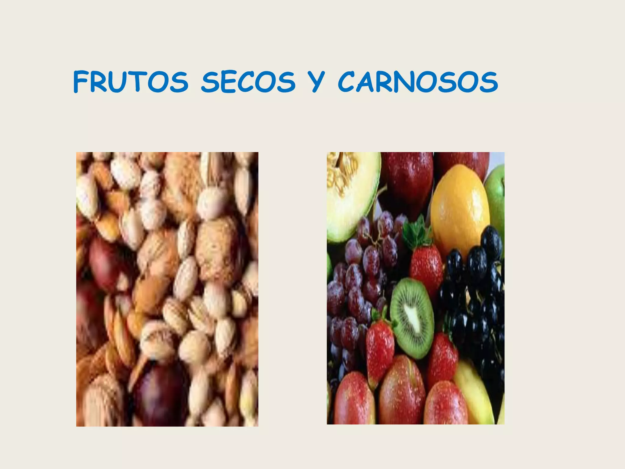Frutos Carnosos Y Secos