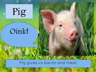 Lesson for Preschool: Animal Sounds | PDF