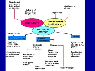 Future trends and perspectives in modern pharmaceutical biotechnology | PPT