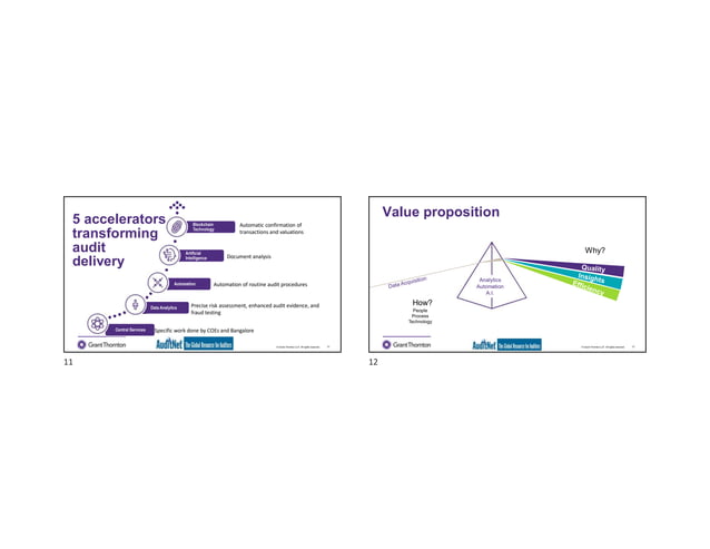 The Future Of Auditing And Fraud Detection Pdf