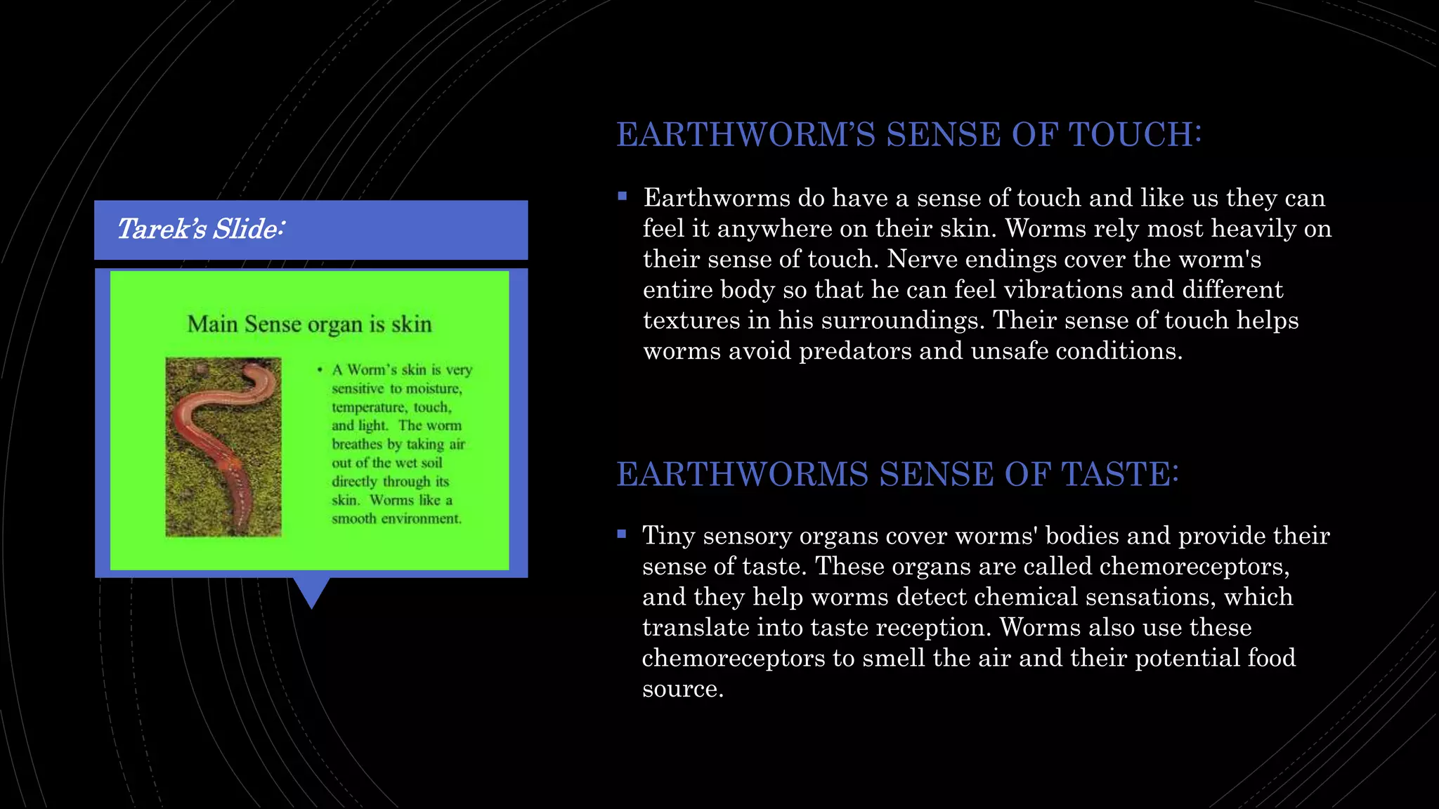 Earthworm senses | PPTX