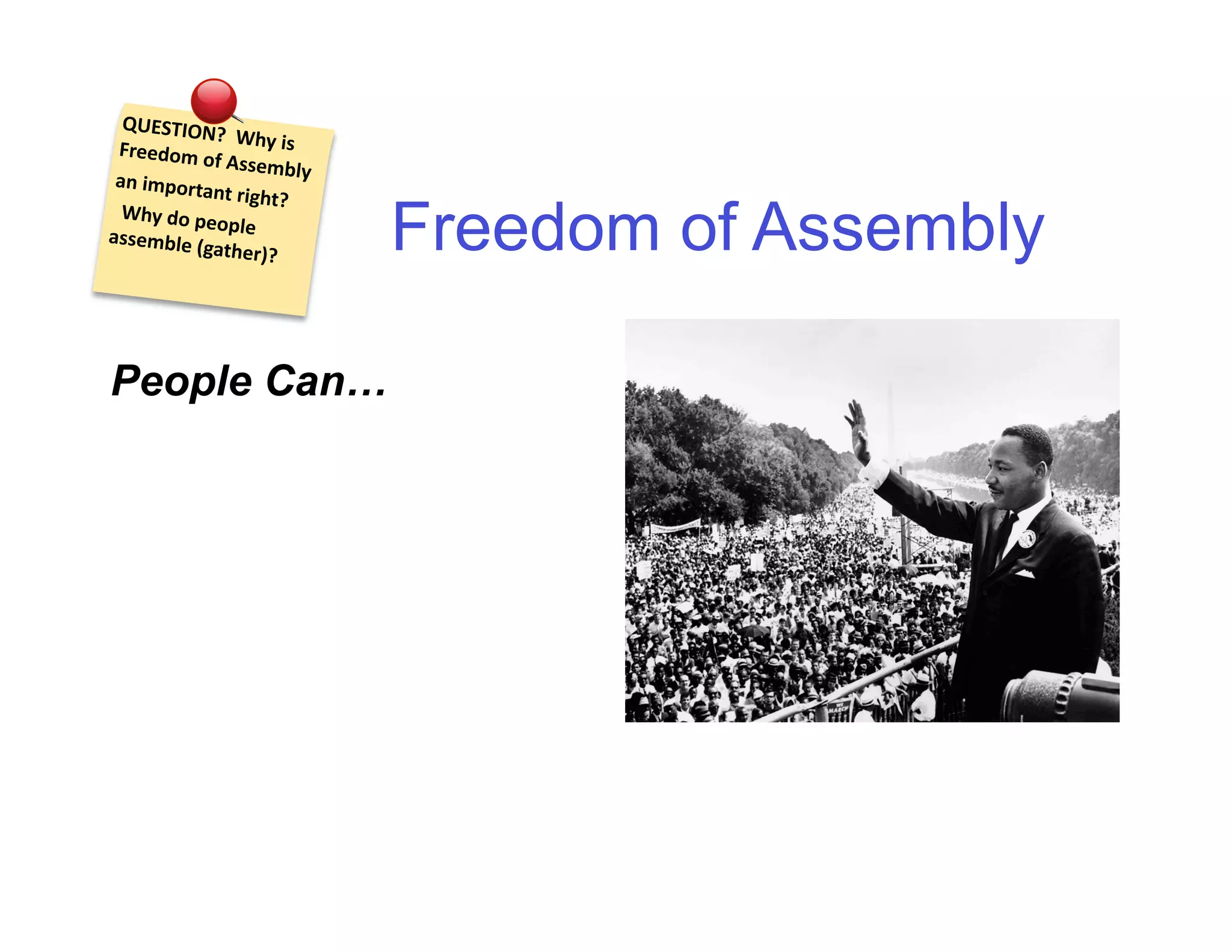 Future FRiGHT: Losing the Bill of Rights Student Handout | PDF