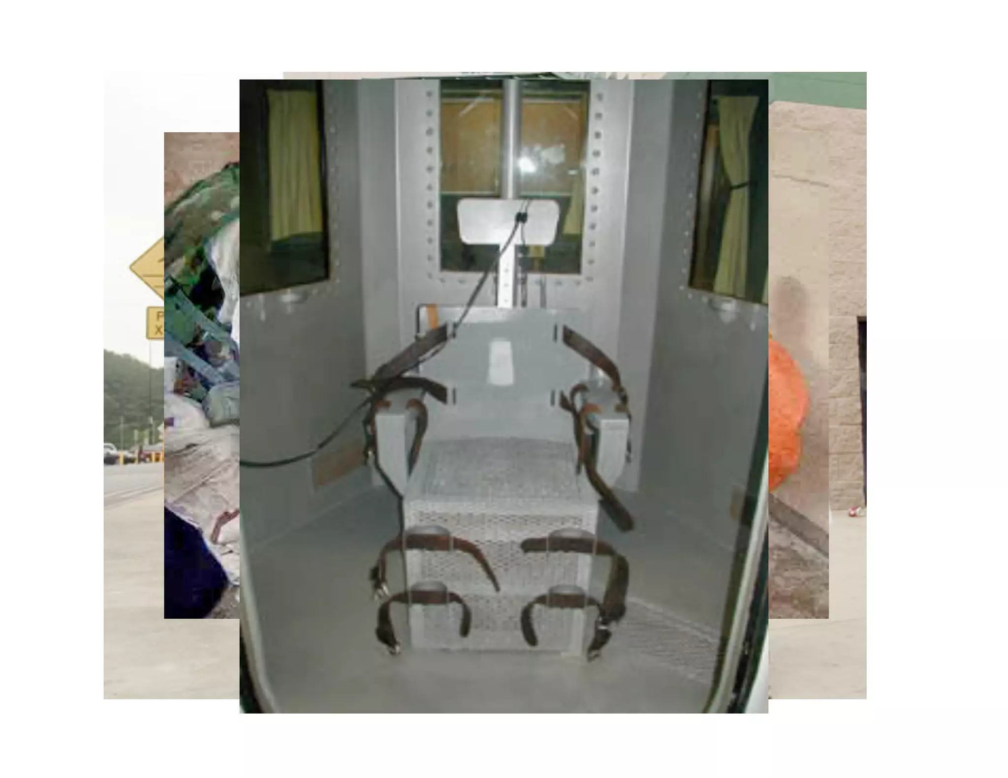 Future FRiGHT: Losing the Bill of Rights Student Handout | PDF