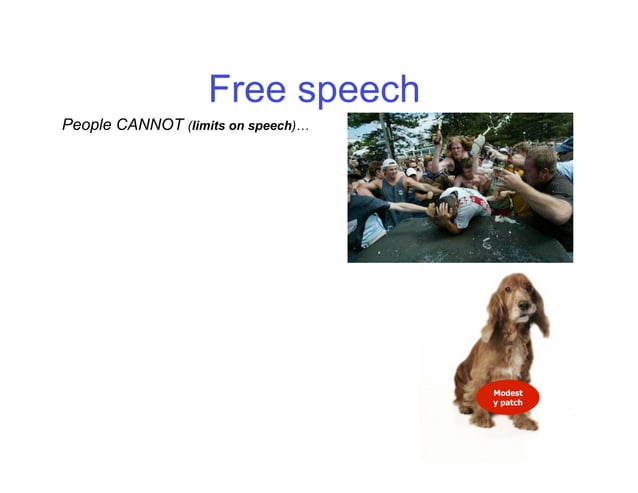 Future FRiGHT: Losing the Bill of Rights Student Handout | PDF