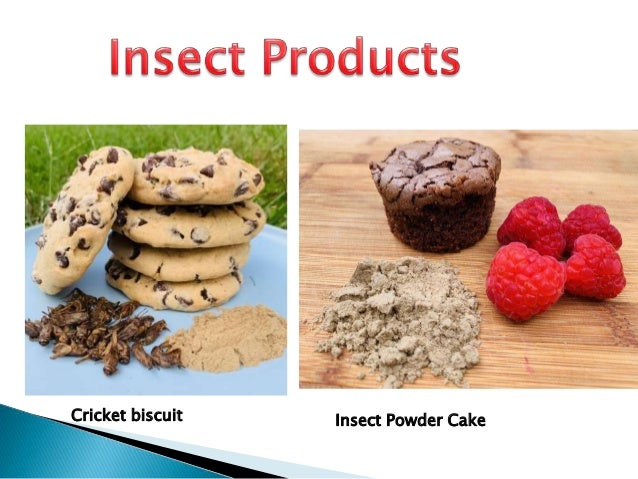 Edible insects in India Future Food.pptx
