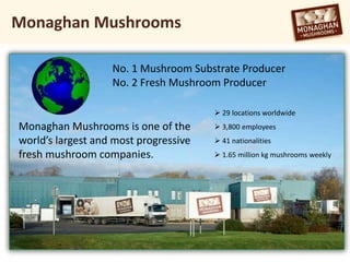 Monaghan Mushrooms - Future in Food Ireland, 2014 | PPT