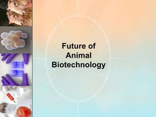 Future of animal biotechnology | PPTX