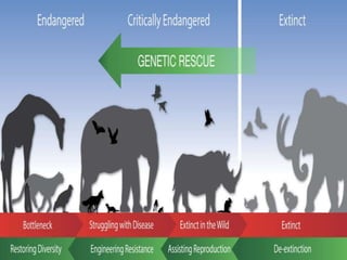 Future of animal biotechnology | PPTX