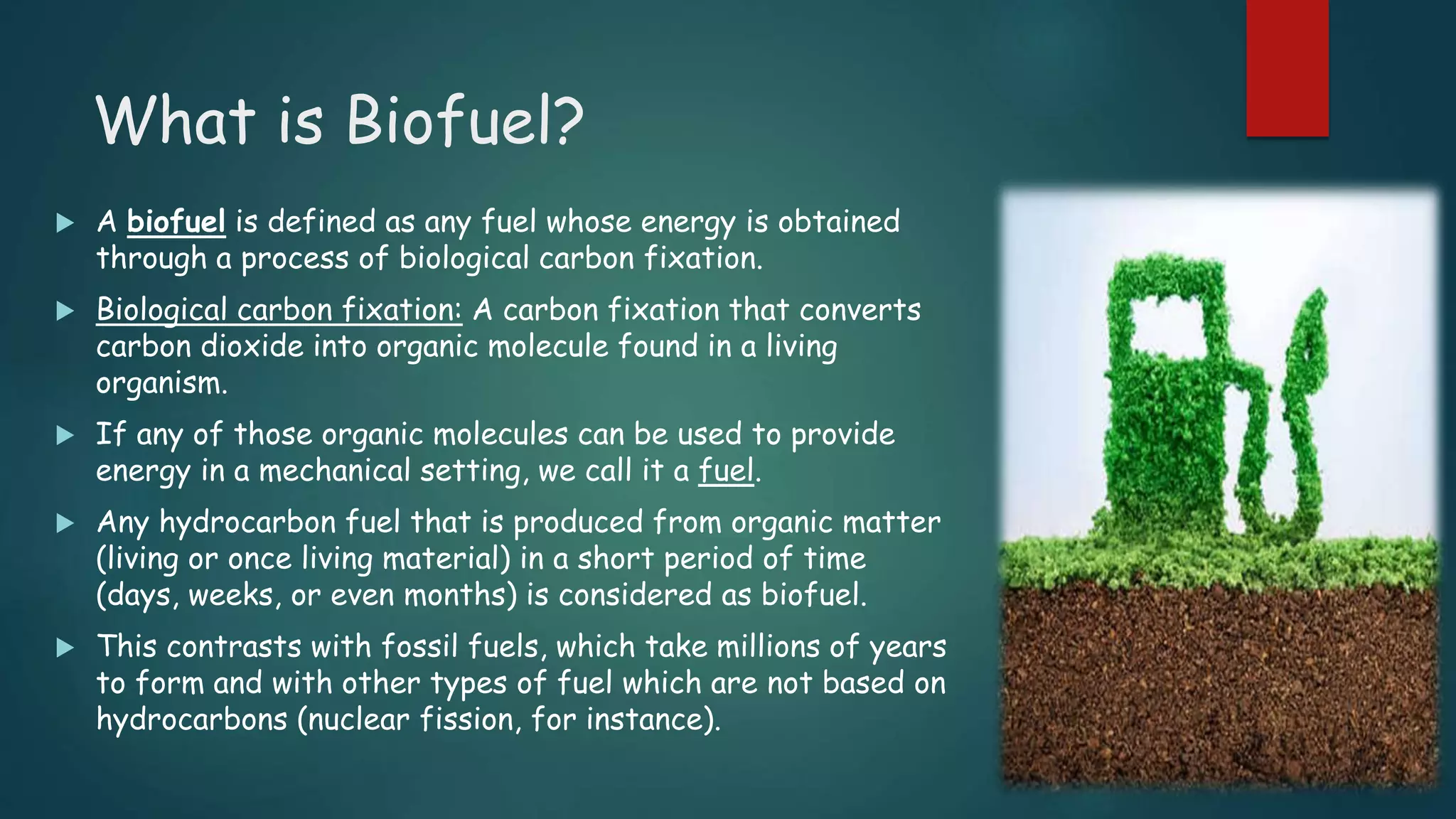 Future of biofuel | PPT