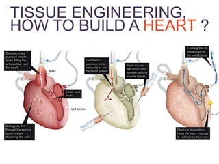 Future of cardiology | PDF