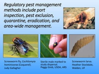Future of Crop Protection.pptx