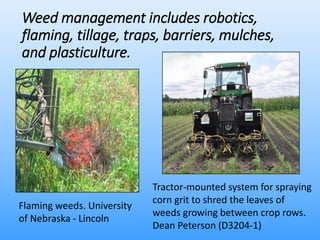 Future of Crop Protection.pptx