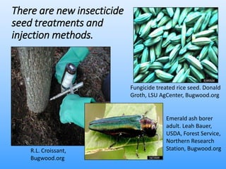 Future of Crop Protection.pptx