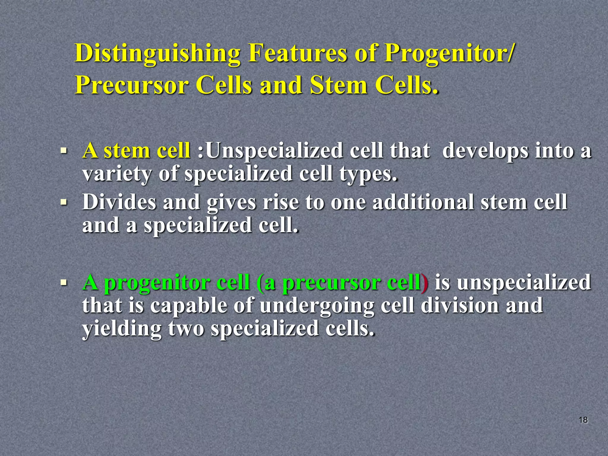 Future orthopedics basics of stem cells and tissue engineering dr ...