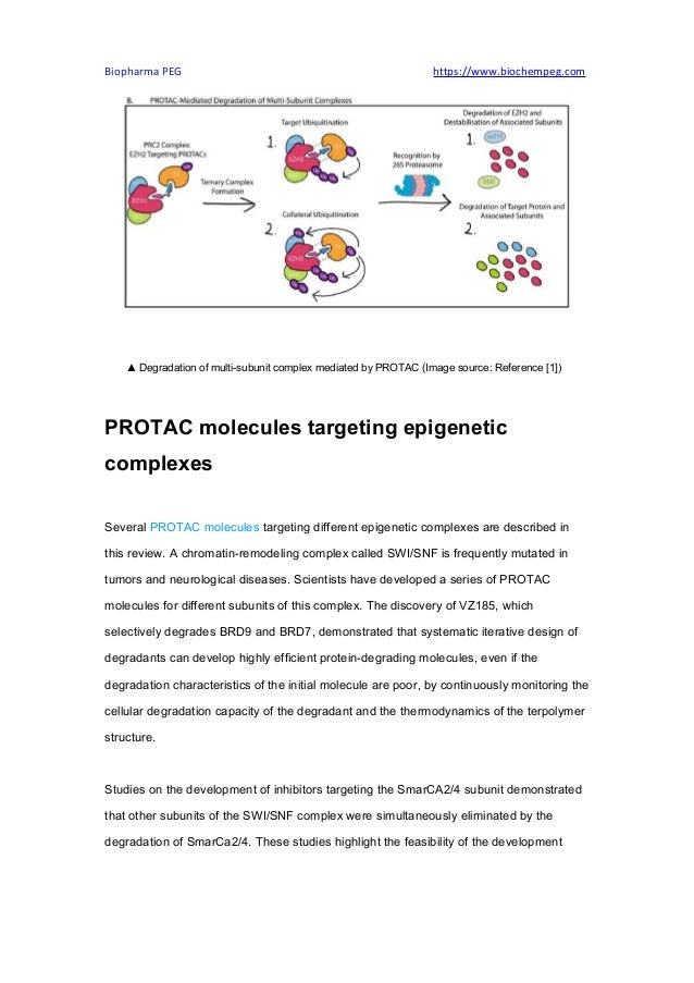 Future Perspective of PROTAC Combined With CRISPR In Anti-ancer Area.pdf