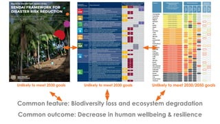 Futures thinking for Africa – 2024 GLF LANDSCAPE LEADERSHIP CAMP | PDF