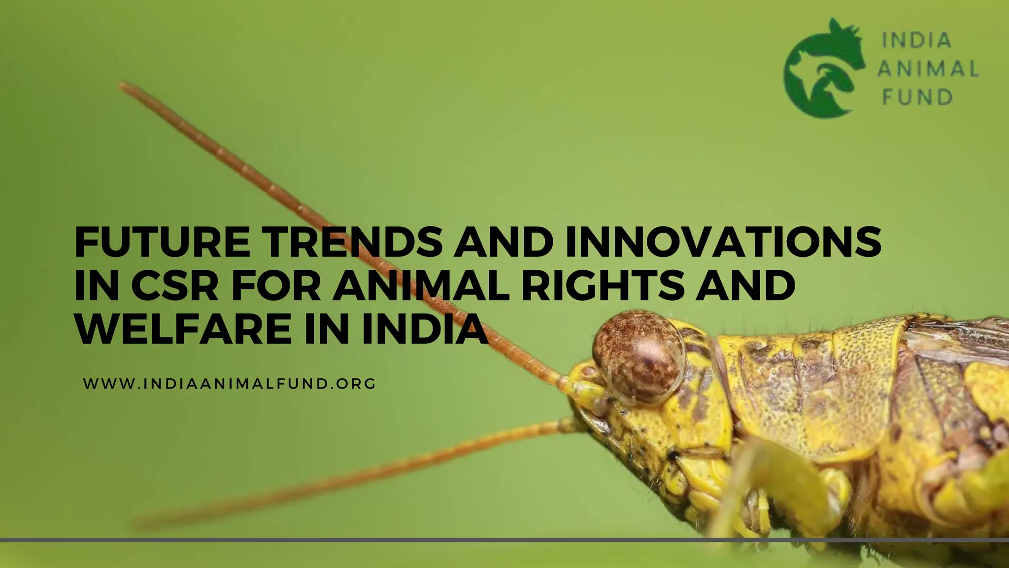 Future Trends and Innovations in CSR for ANimal Rights.pptx