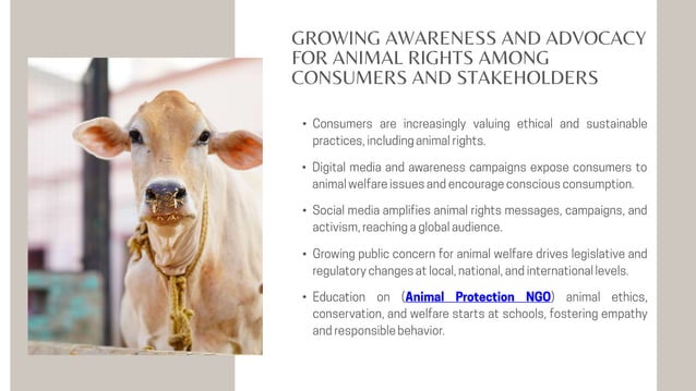 Future Trends and Innovations in CSR for ANimal Rights.pptx