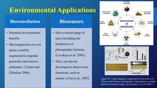 Future trends in synthetic biology | PPTX