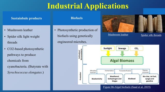 Future trends in synthetic biology | PPTX | Biotech and Biomedical ...