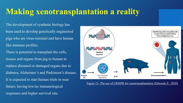 Future trends in synthetic biology | PPTX | Biotech and Biomedical ...