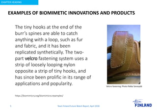 Future Watch biomimetics summary | PPTX