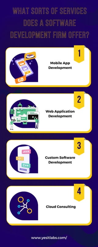 What Sorts of Services Does a Software Development Company Offer? | PDF