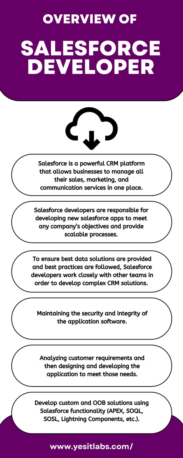 Overview of Salesforce Developer | PDF | Computer Software and ...
