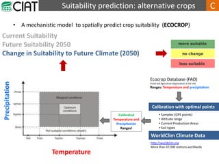 Future climate scenarios for kenyan tea farmers presentation | PPT