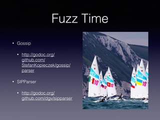 Fuzzing with Go-Fuzz | PDF