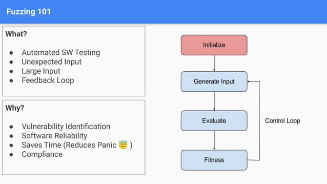 The Mysterious Paradigm of Fuzzing by Rakesh Seal | PDF | Operating Systems | Computer Software ...