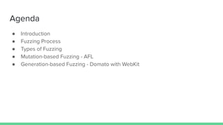 Fuzzing softwares for bugs - OWASP Seasides | PPT | Free Download