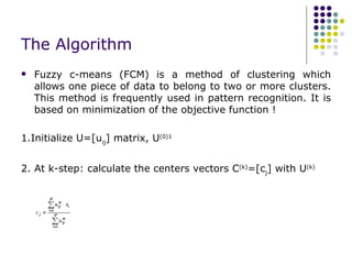 Fuzzy c-means clustering for image segmentation | PPT