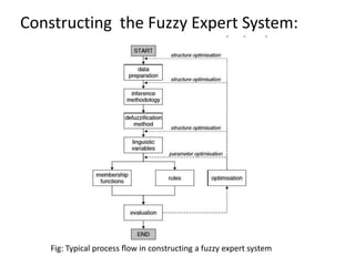 Fuzzy expert system | PPSX