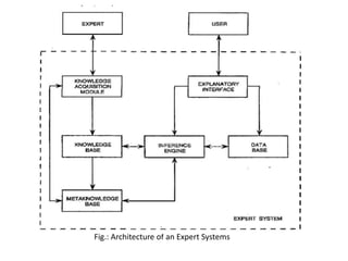 Fuzzy expert system | PPSX
