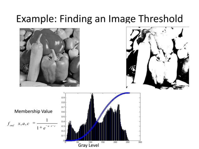 Fuzzy Logic Ppt | PPTX
