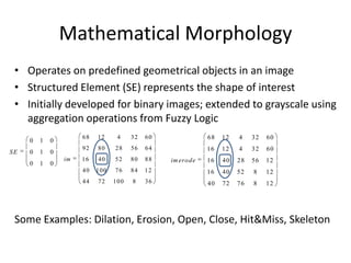 Fuzzy Logic Ppt | PPT