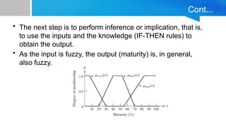 Fuzzy Techniques for Intensity Transformations.pptx
