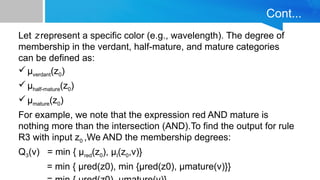 Fuzzy Techniques for Intensity Transformations.pptx