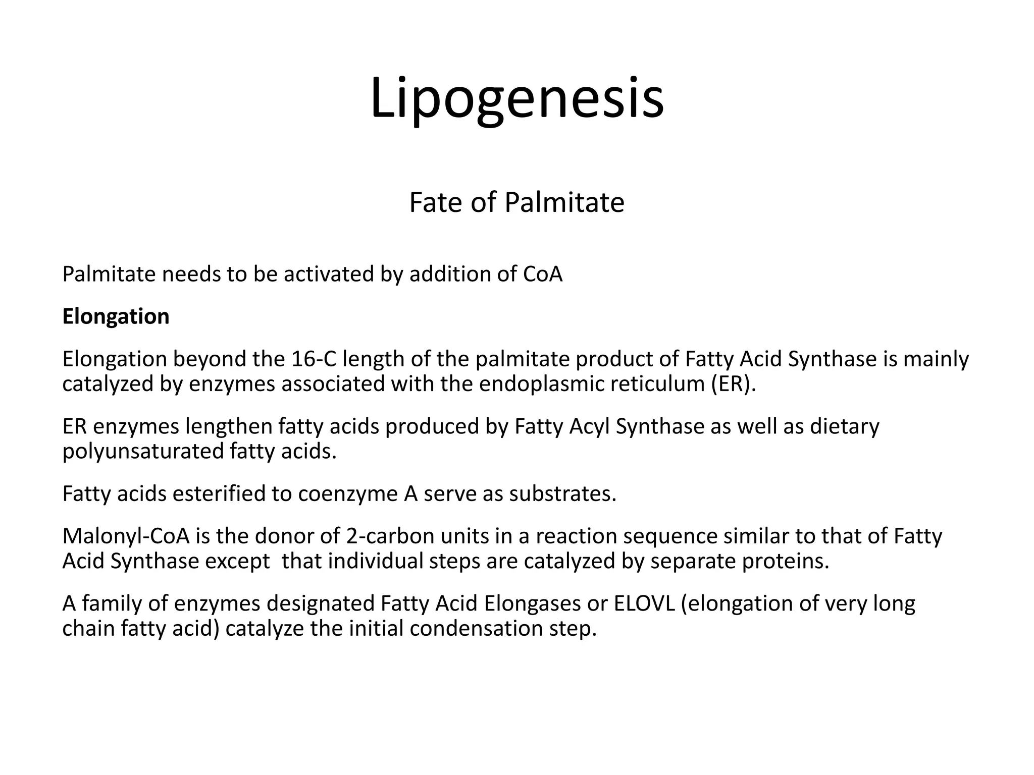 Lipid metabolism | PPTX