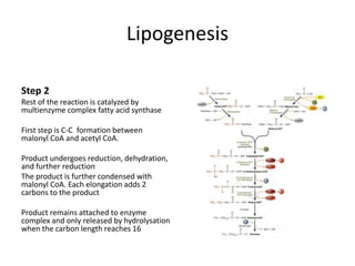 Lipid metabolism | PPTX