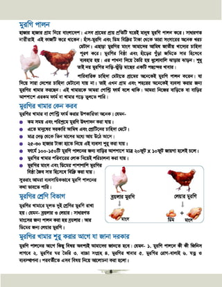 Poultry booklet | PDF