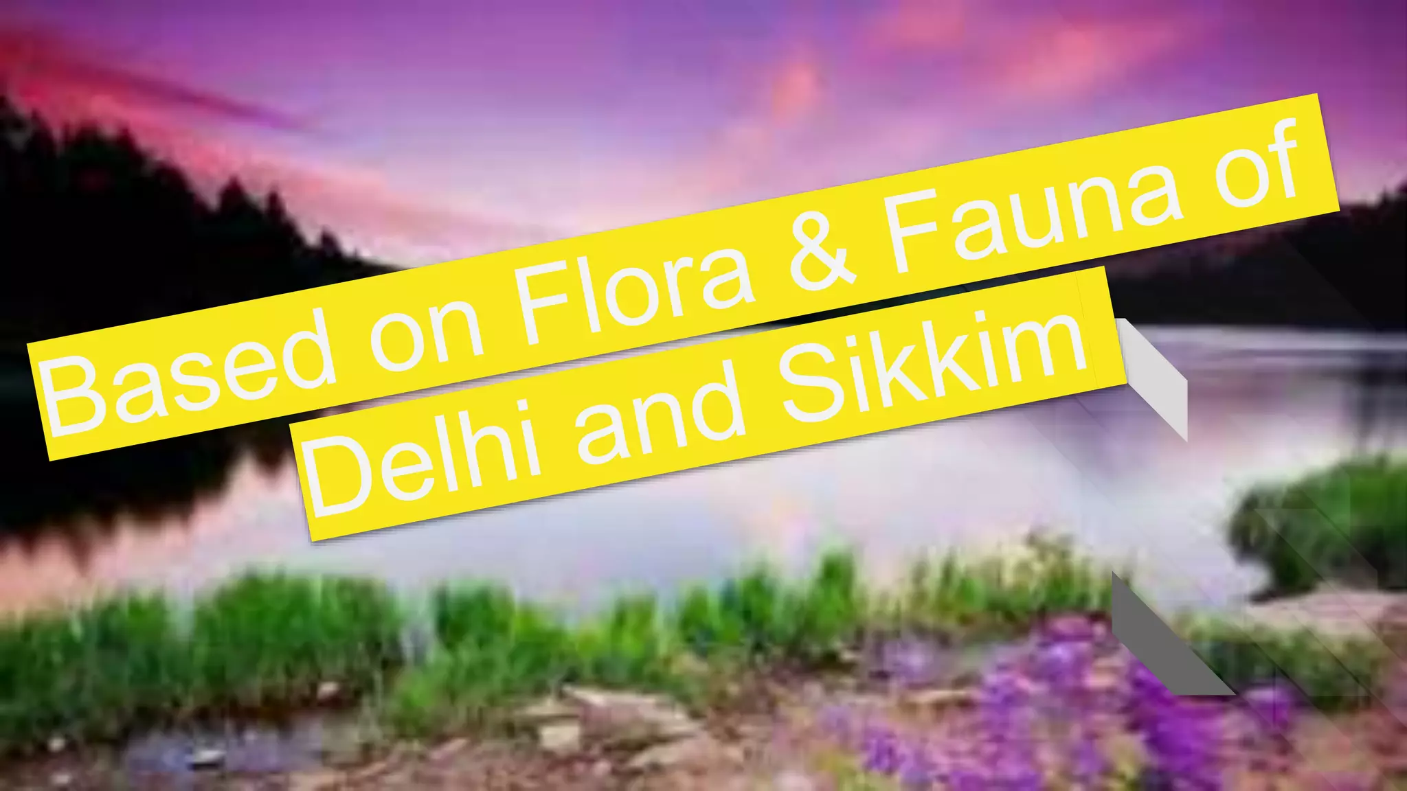 Flora and Fauna of Delhi and Sikkim | PPTX
