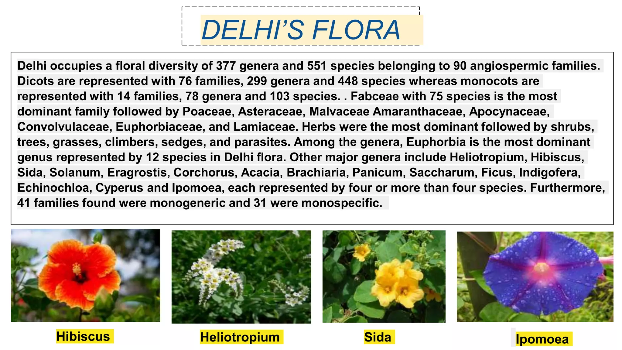 Flora and Fauna of Delhi and Sikkim | PPTX